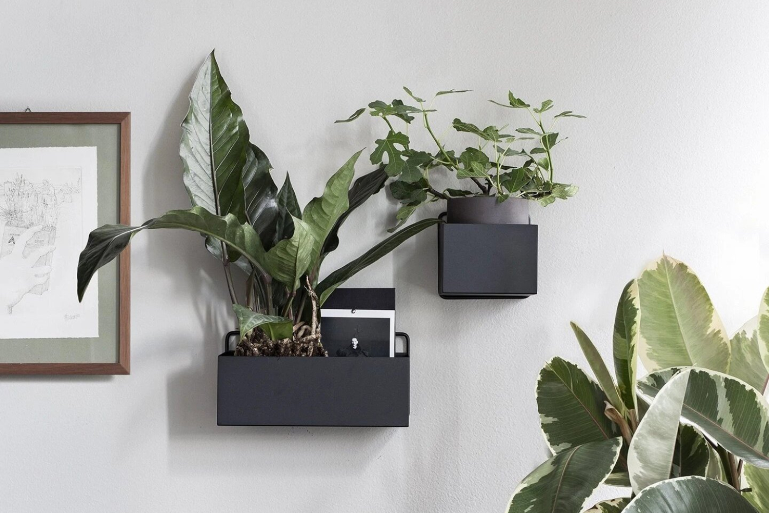 Wall Box Square | Konsepti